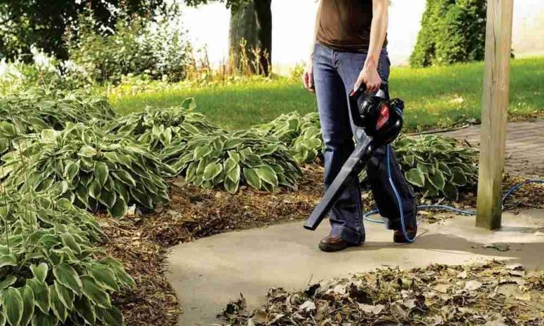 Echo PB-2520 Leaf Blower Review | Leaf Blowers Review